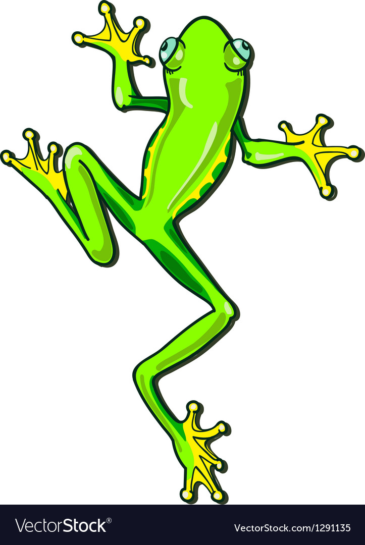 Frog Royalty Free Vector Image - VectorStock