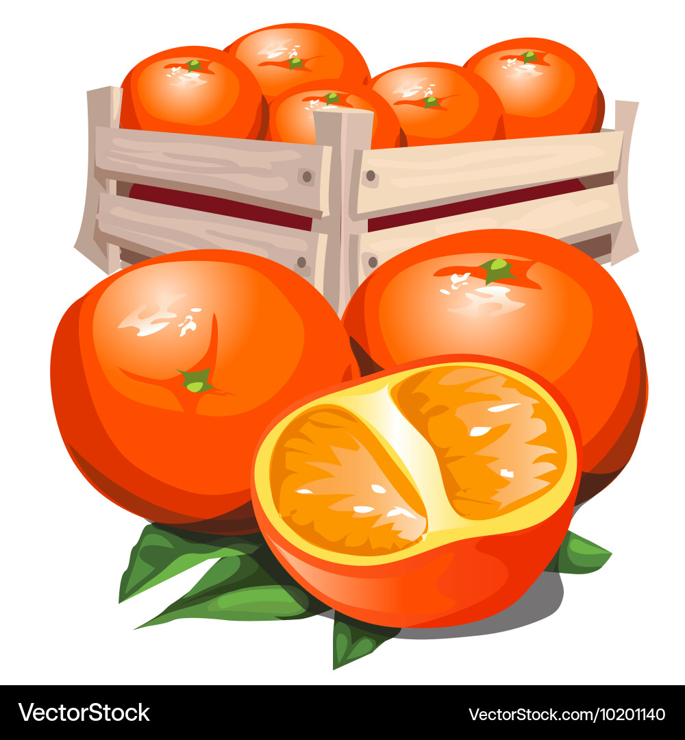 Box fresh ripe orange with leaves Royalty Free Vector Image