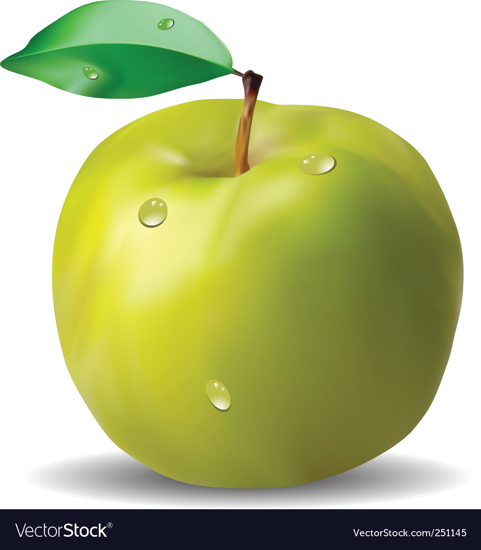 Apples Royalty Free Vector Image - VectorStock