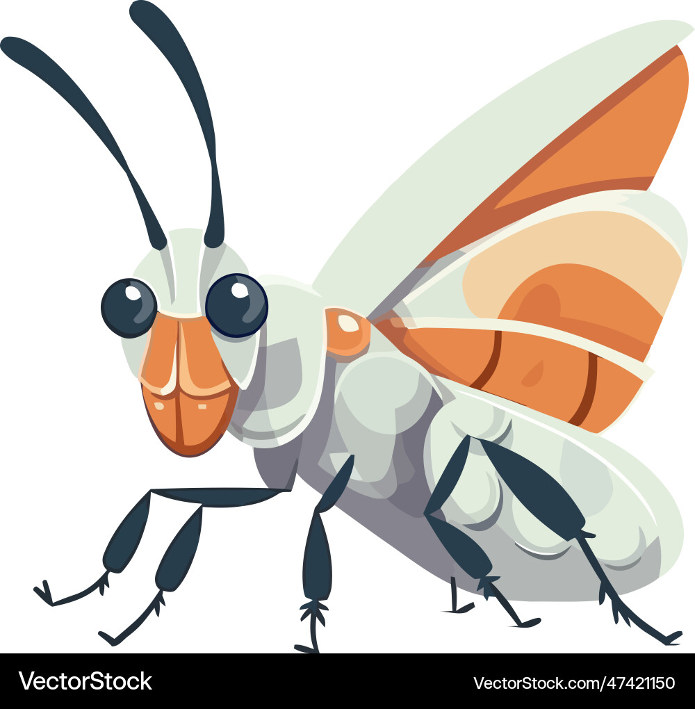 Cricket insect animal on white backdrop Royalty Free Vector