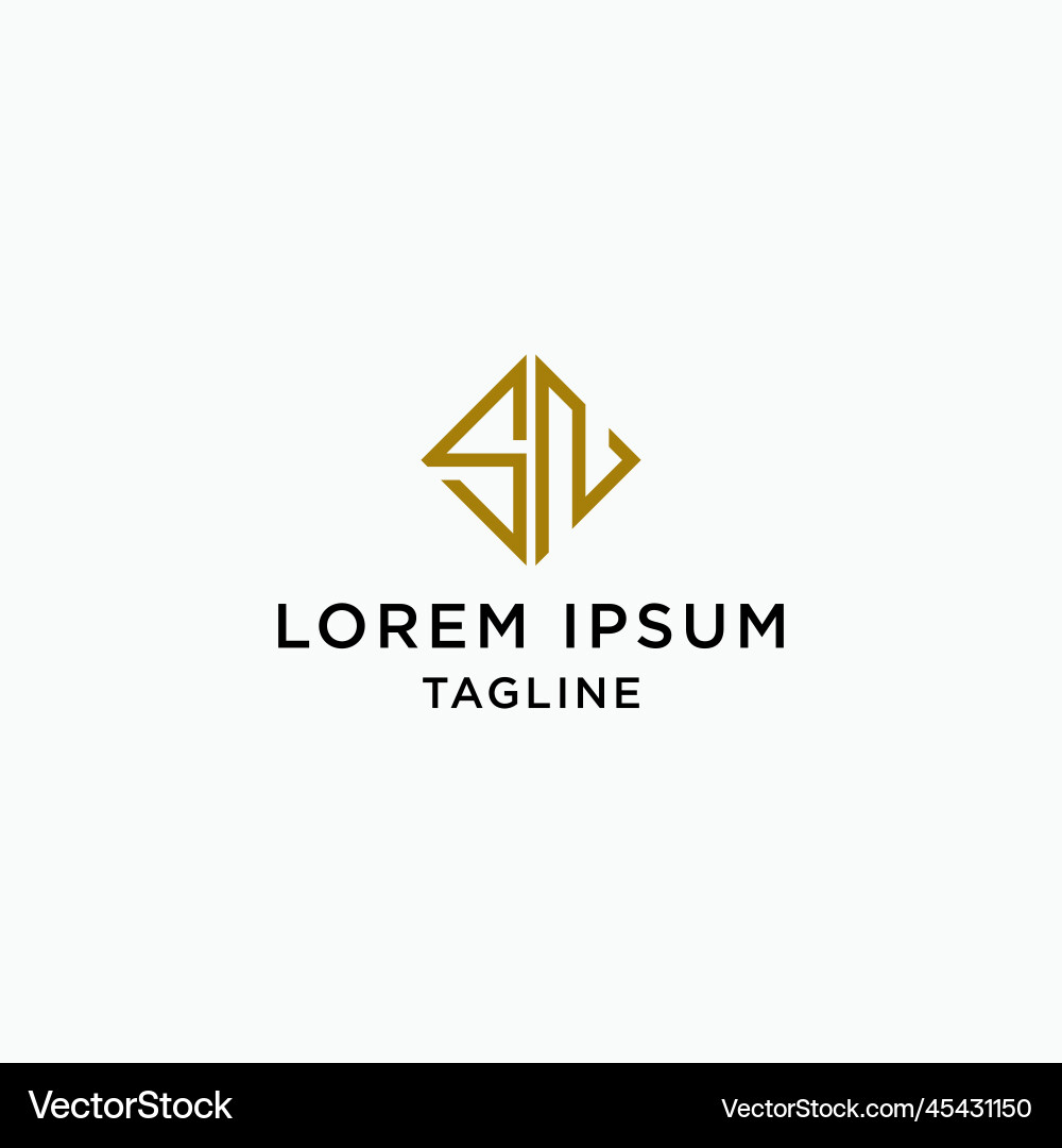 Letter sn initial logo icon design template gold Vector Image