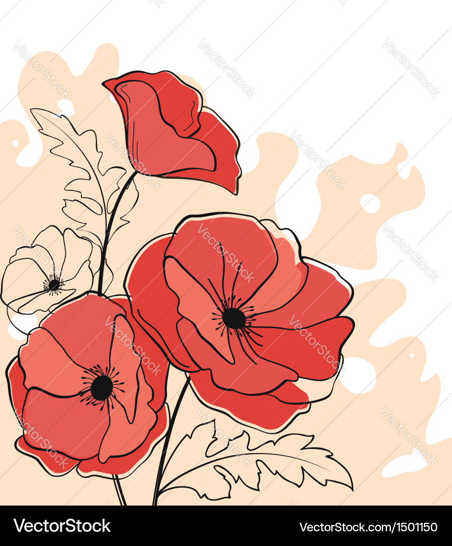 Red poppy flowers Royalty Free Vector Image - VectorStock