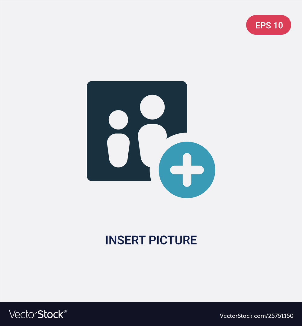 Two color insert picture icon from user interface Vector Image