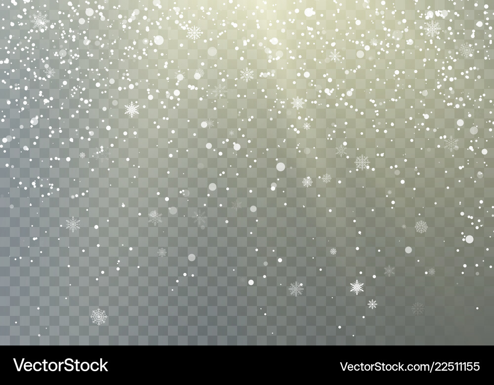 Falling snowflakes transparent background frost Vector Image