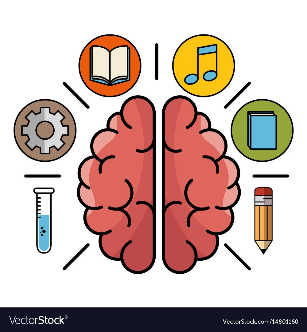 Brain processes design Royalty Free Vector Image