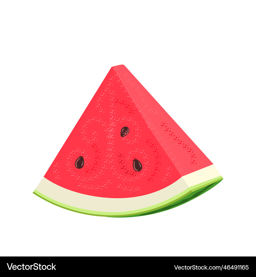 Realistic watermelon Royalty Free Vector Image