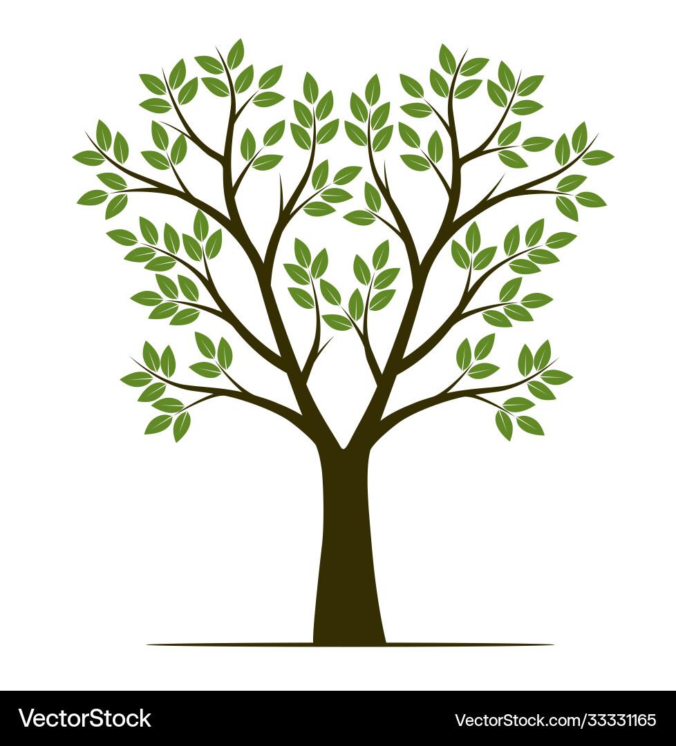 Shape tree with leaves fruits and roots Royalty Free Vector