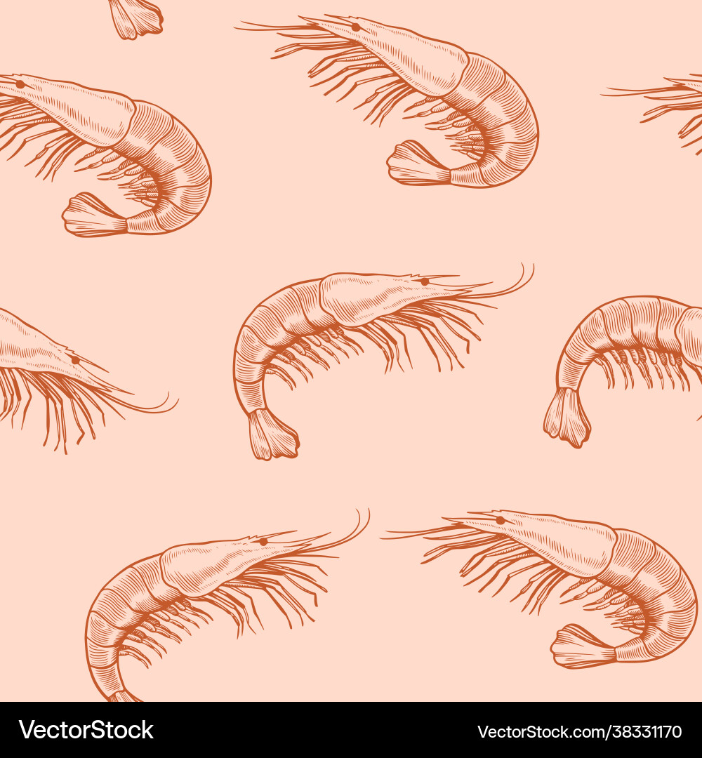 Seamless pattern with sea food shrimp drawn Vector Image