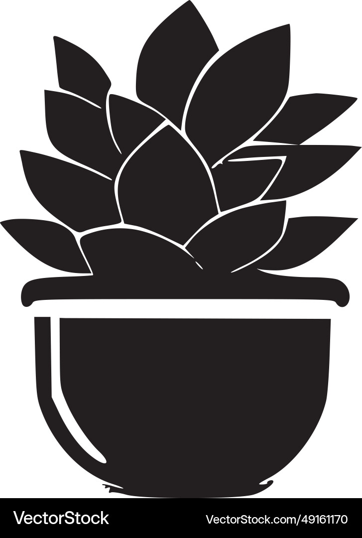 Succulent - black and white isolated icon Vector Image