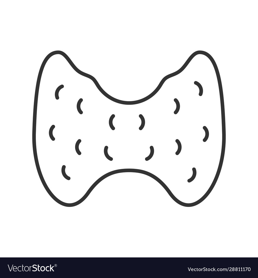 Thyroid gland linear icon Royalty Free Vector Image