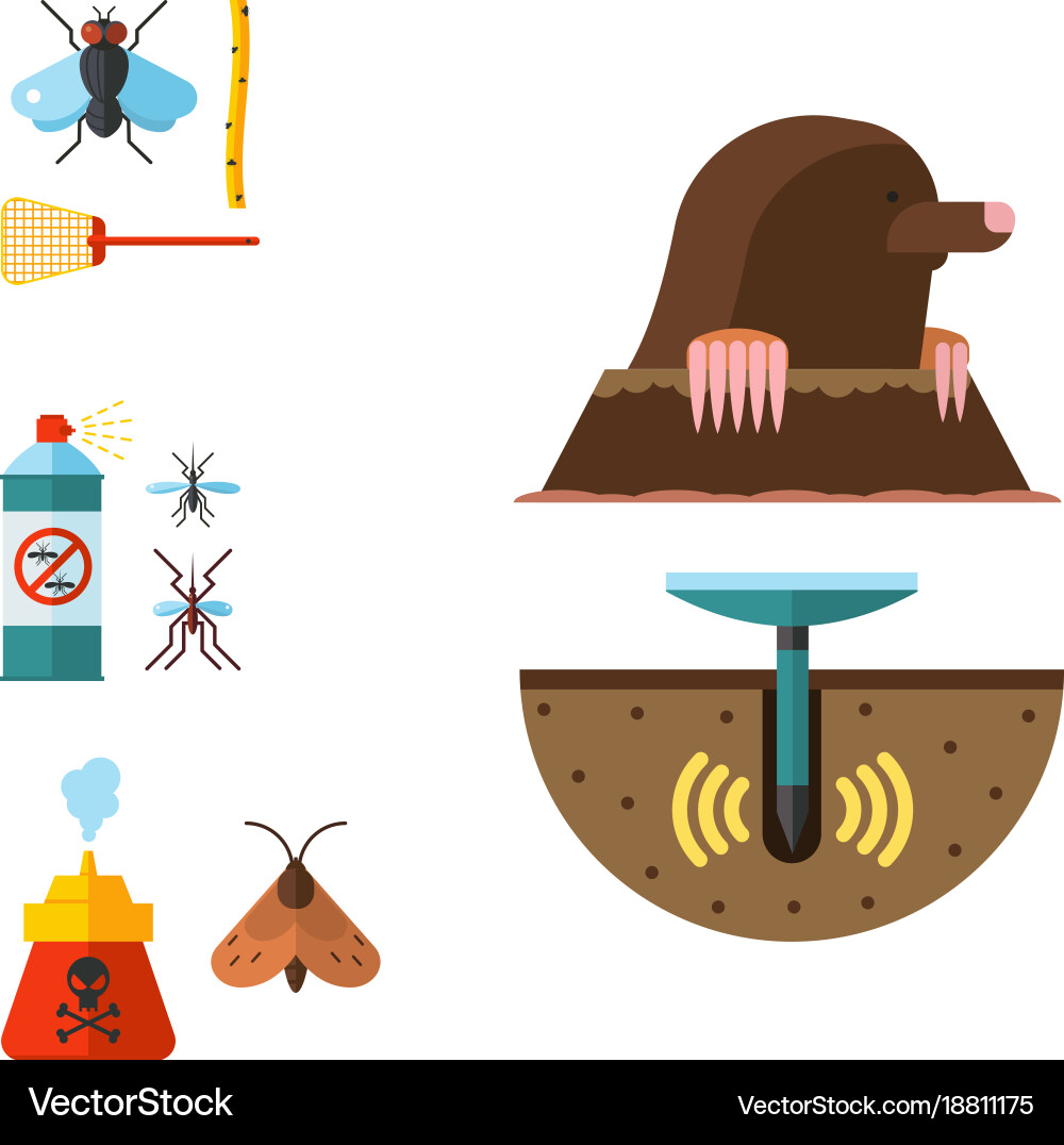 Home pest insect control expert vermin Royalty Free Vector
