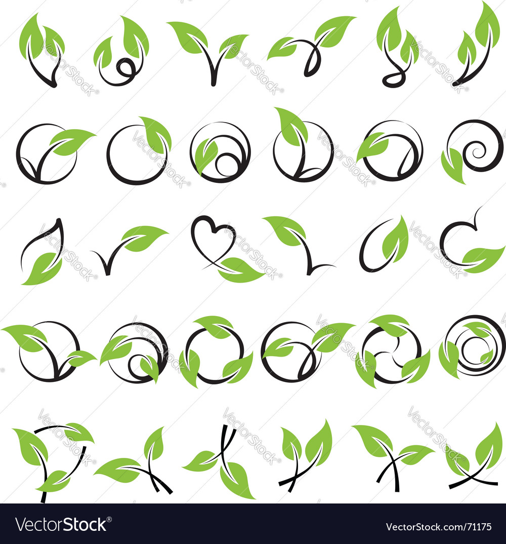 Leaves design elements Royalty Free Vector Image