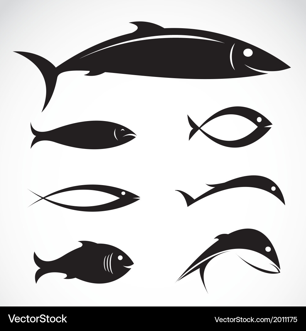 Set of fish icons Royalty Free Vector Image - VectorStock