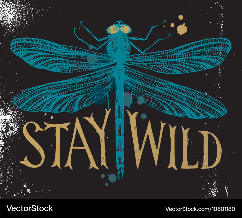 Background with dragonfly and hand drawn lettering