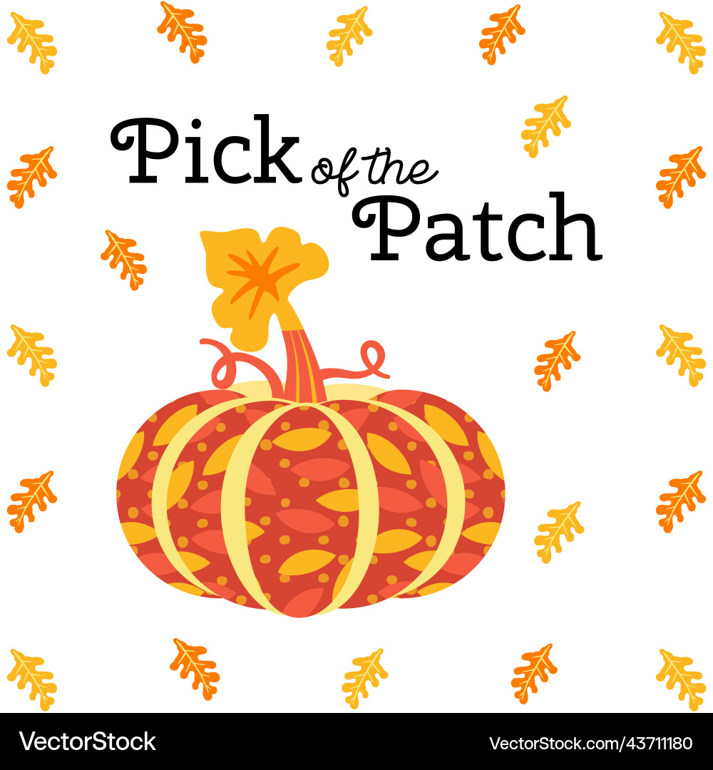 Fall season pumpkin harvest decorative Royalty Free Vector