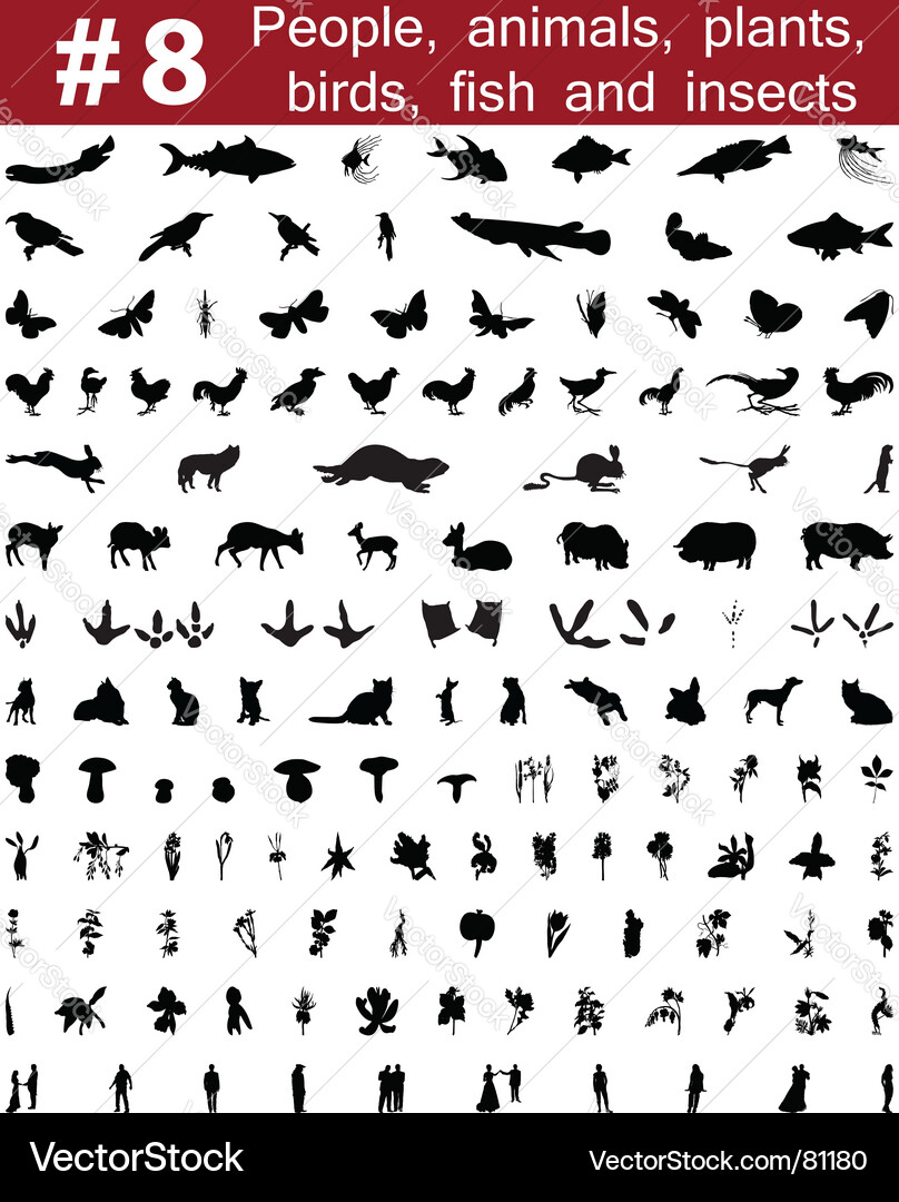 Silhouettes set Royalty Free Vector Image - VectorStock