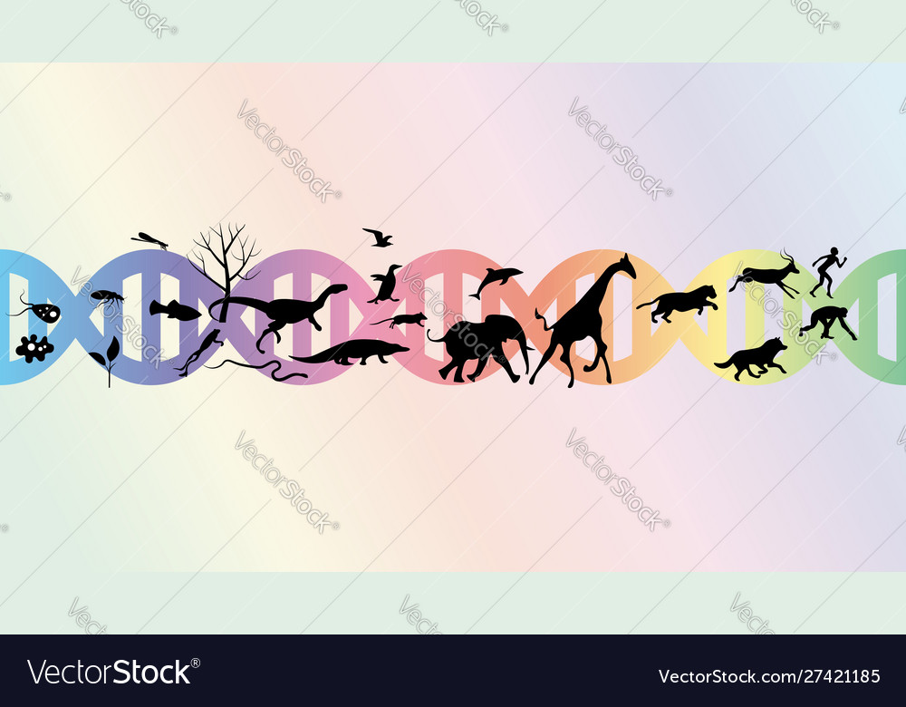 Evolution abstract Royalty Free Vector Image - VectorStock