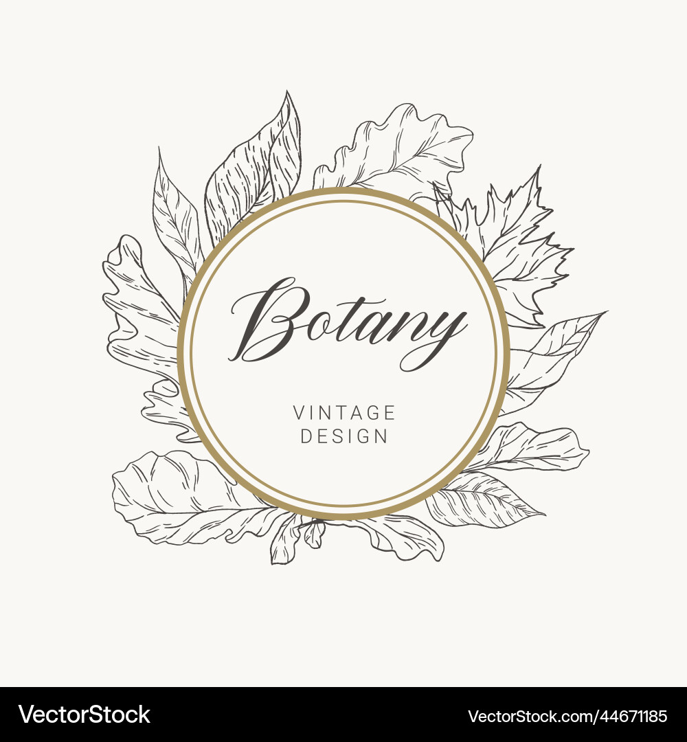 Round frame with leaves in vintage engrave Vector Image