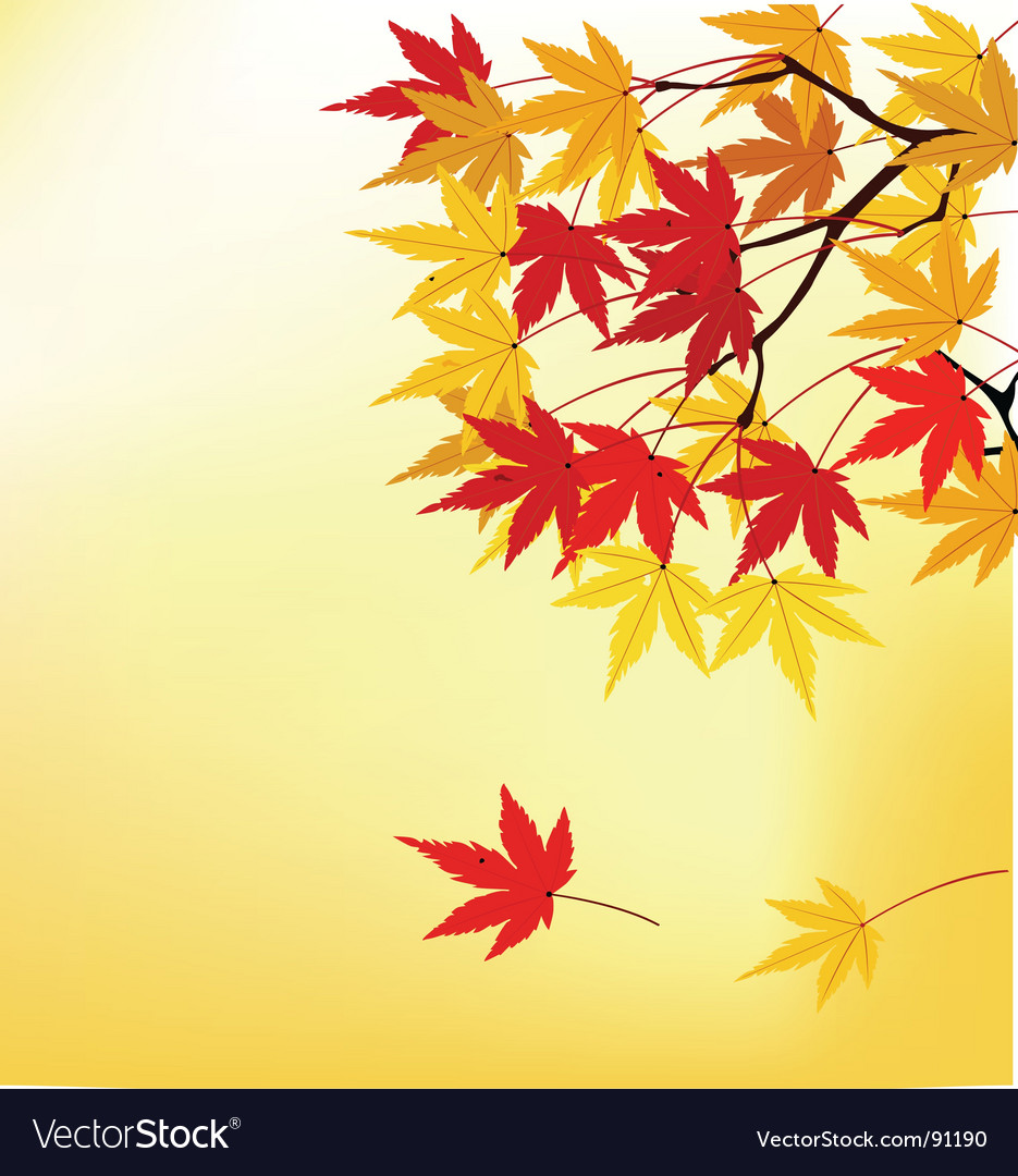 Autumn leaf Royalty Free Vector Image - VectorStock