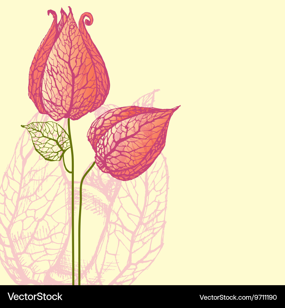 Floral background flowers invitation Royalty Free Vector