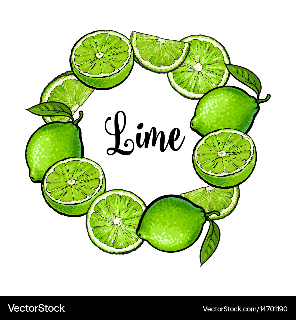 Round frame green lime fruits with place Vector Image