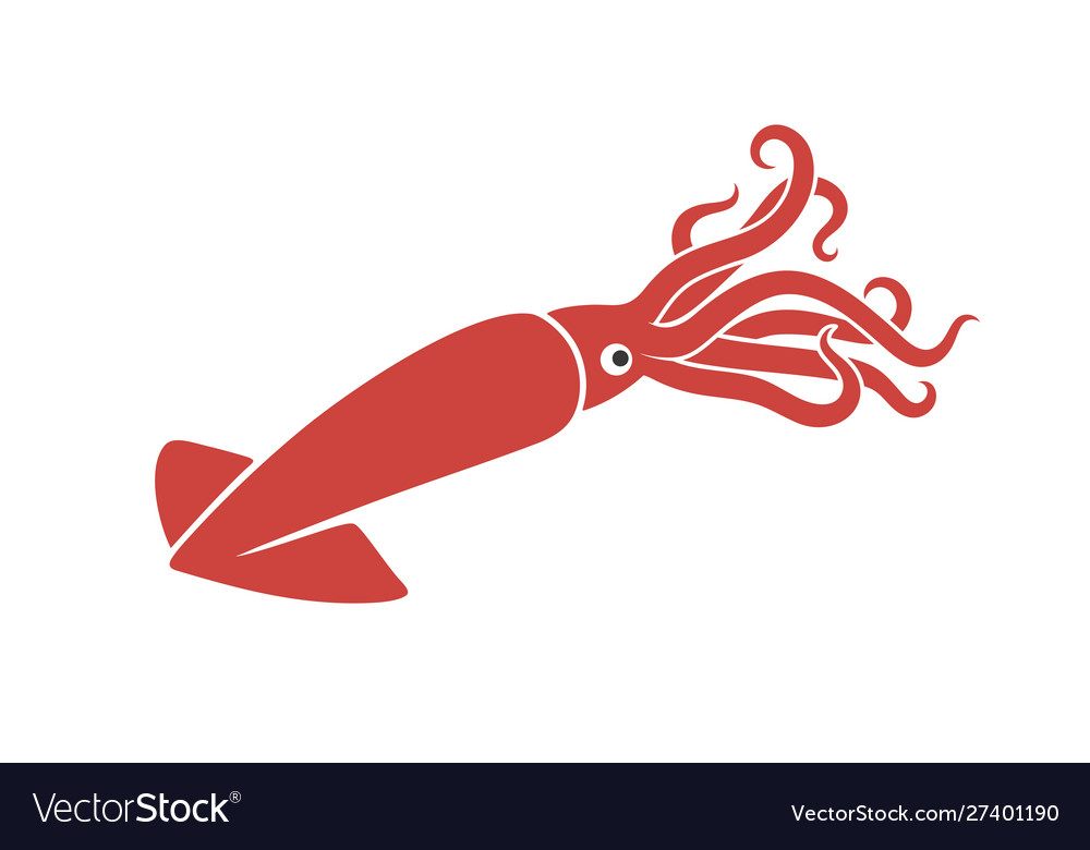 Squid Royalty Free Vector Image - VectorStock
