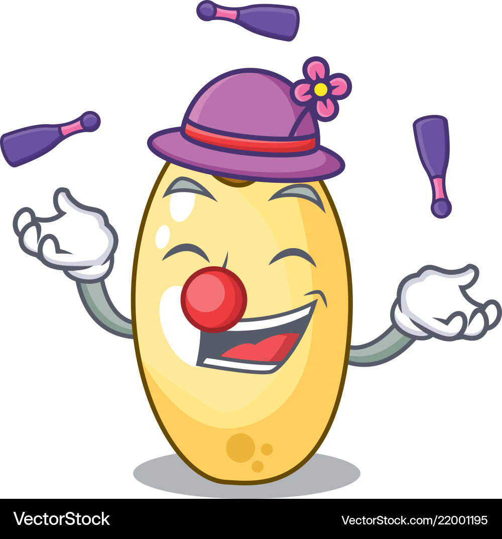 Juggling cedar pine nuts isolated on mascot Vector Image