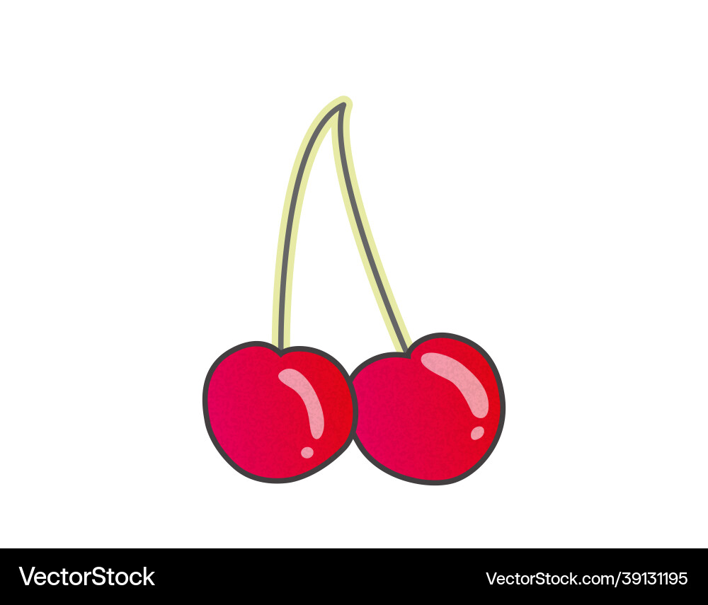 Naturalistic drawn ripe double cherry on a branch Vector Image