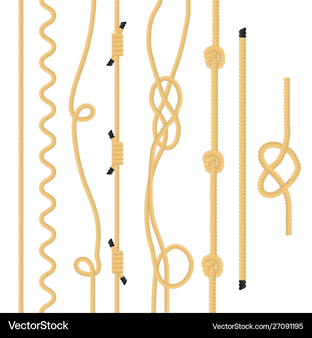 Realistic detailed 3d rope knots set Royalty Free Vector