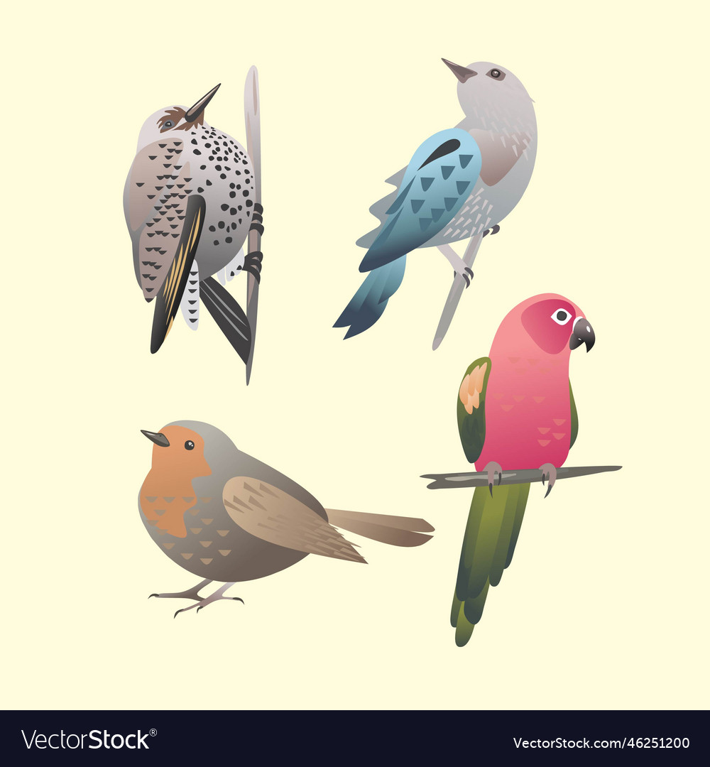 Birds Royalty Free Vector Image - VectorStock