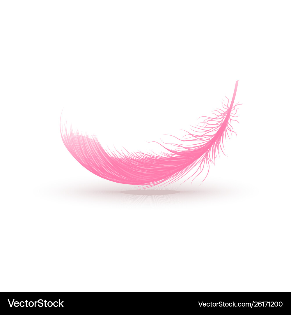 Pink swirled feather close up 3d realistic Vector Image