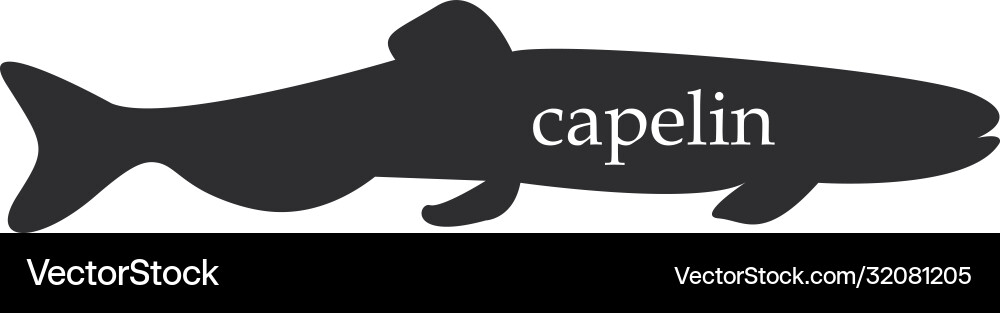 Capelin fish black silhouette on white background Vector Image