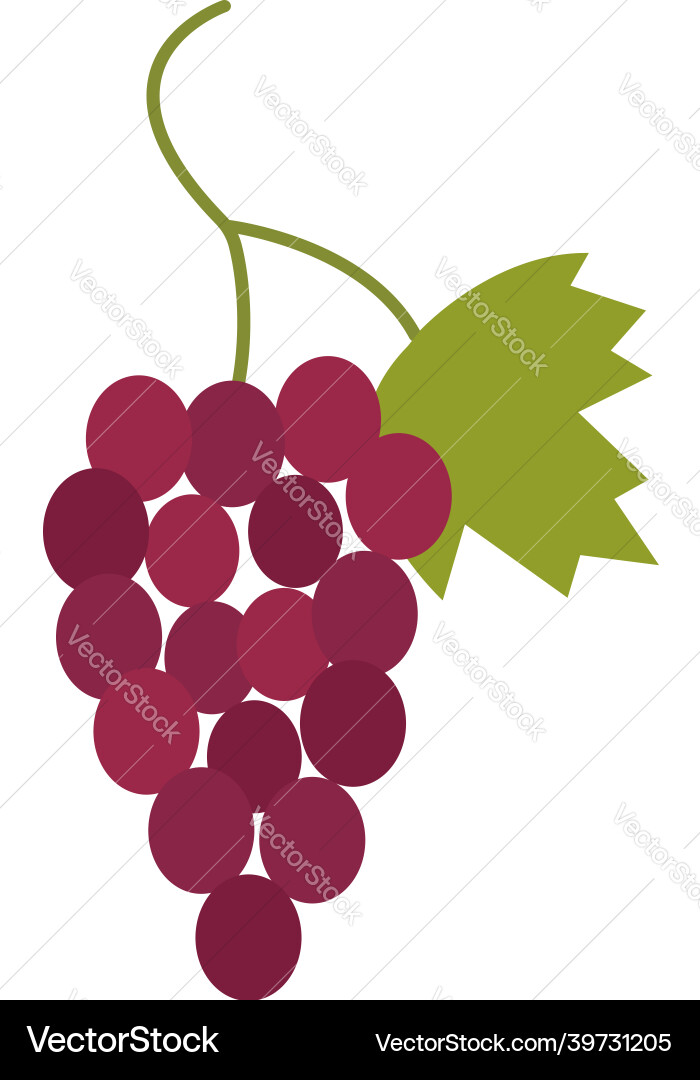Image of a cute grape isolated on white Royalty Free Vector