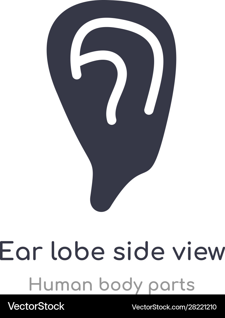 Ear lobe side view outline icon isolated line Vector Image