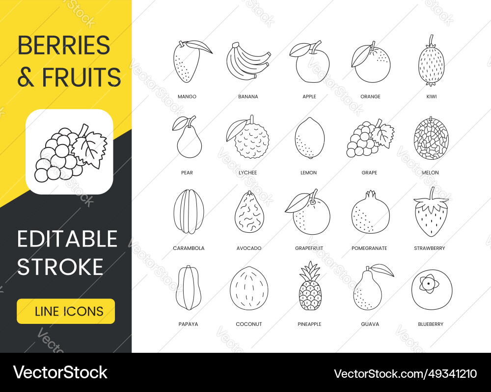 Fruits and berries whole sliced line Royalty Free Vector