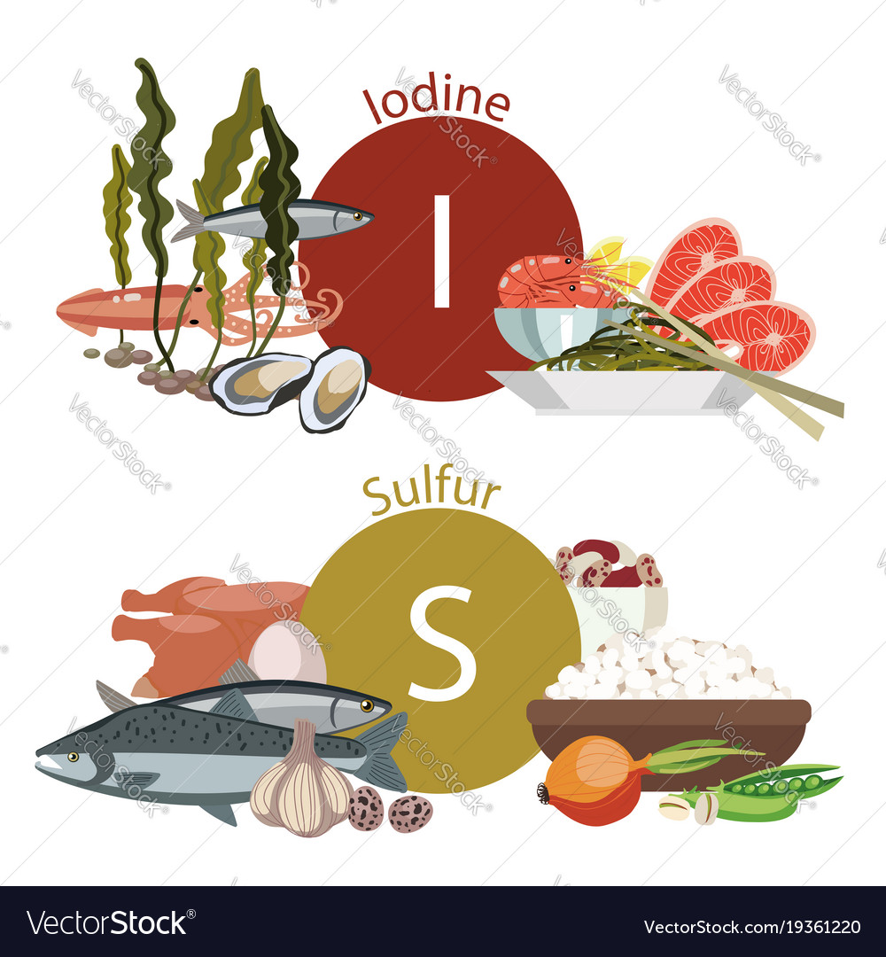 Healthy eating Royalty Free Vector Image - VectorStock