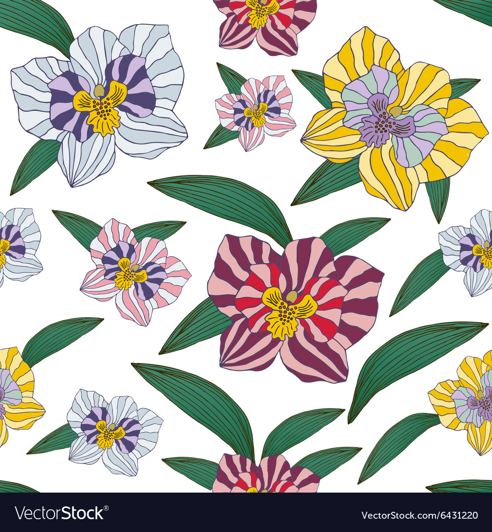 Orchid pattern Royalty Free Vector Image - VectorStock