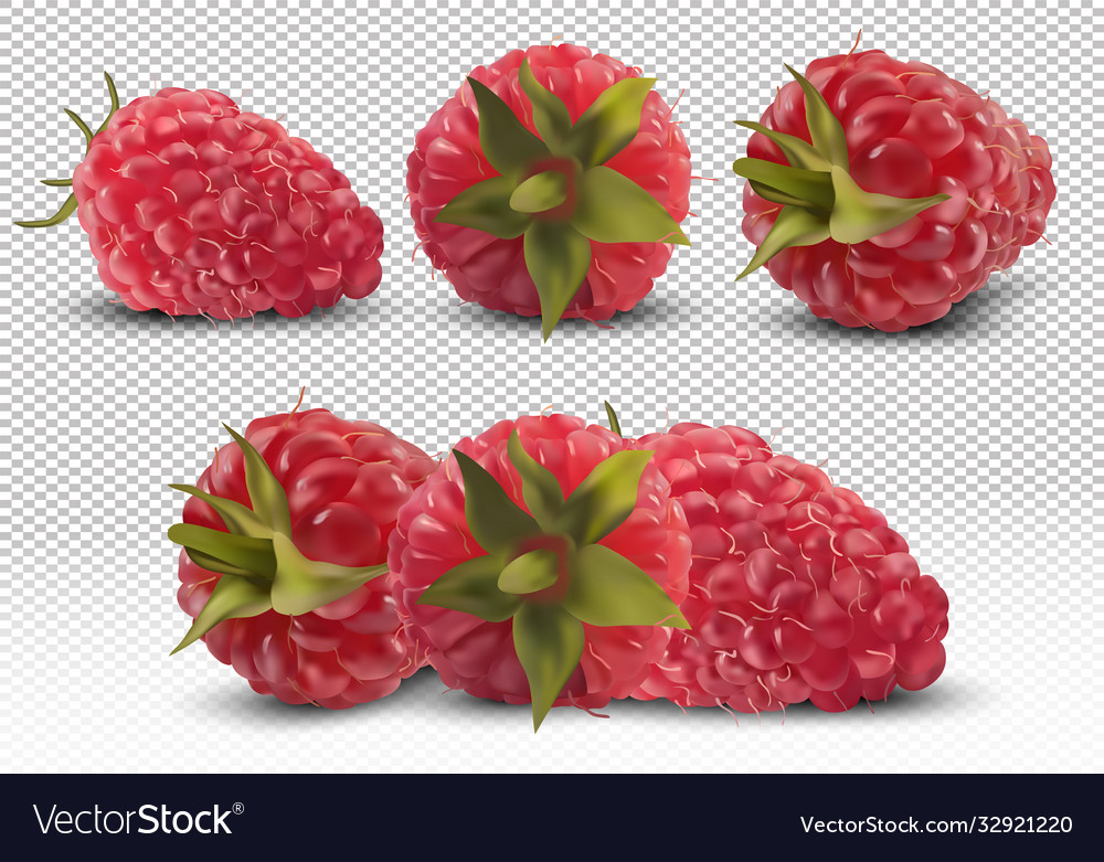 Set raspberry from different angles Royalty Free Vector