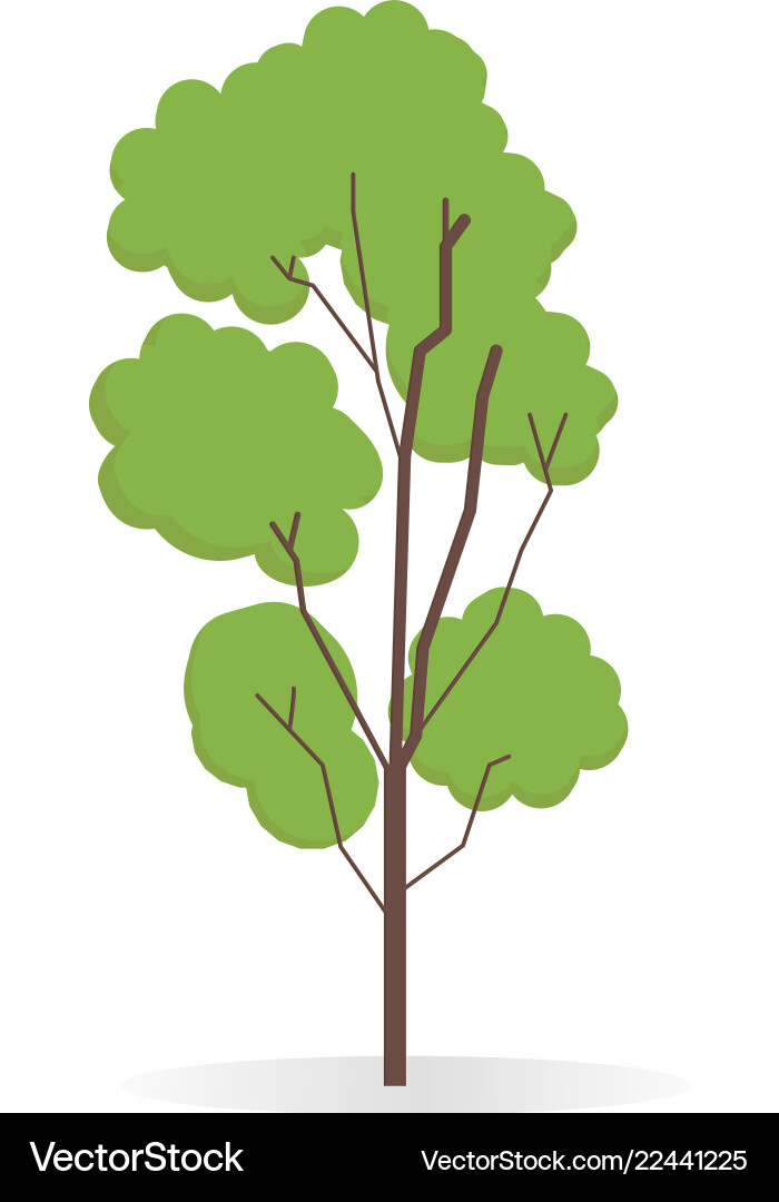 Biag tree isolated white flat of tall tree Vector Image