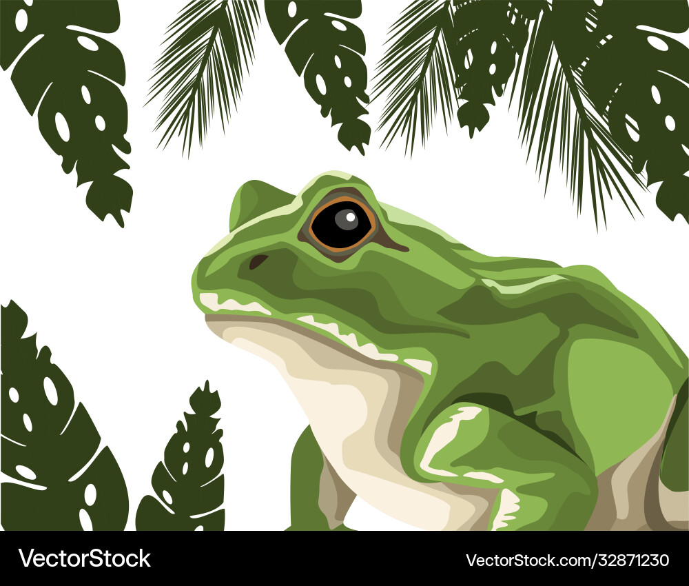 Frog animal in landscape scene Royalty Free Vector Image