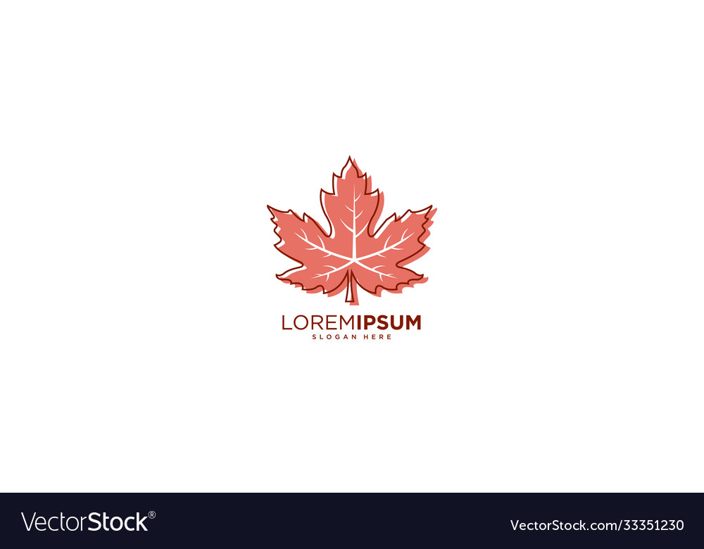 Maple leaf logo design Royalty Free Vector Image