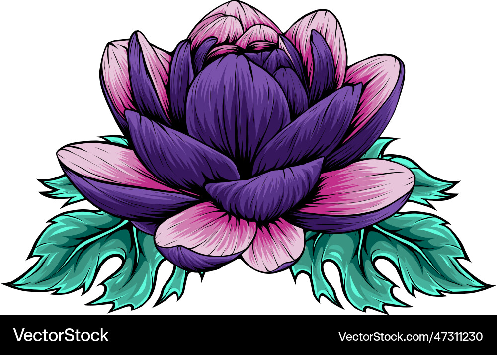 Water lily flower isolated Royalty Free Vector Image
