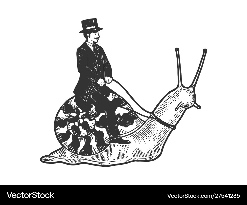 Gentleman riding snail sketch Royalty Free Vector Image