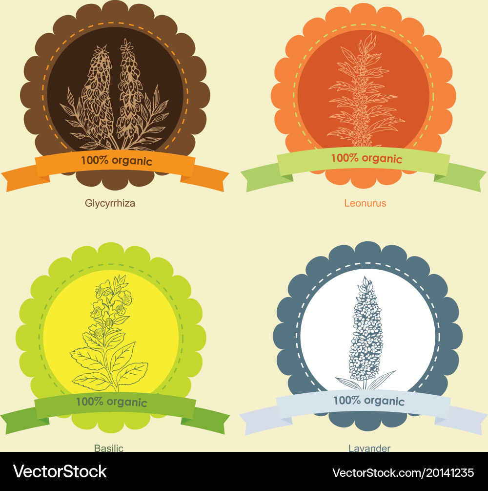 Medicinal herbs 2-01 Royalty Free Vector Image