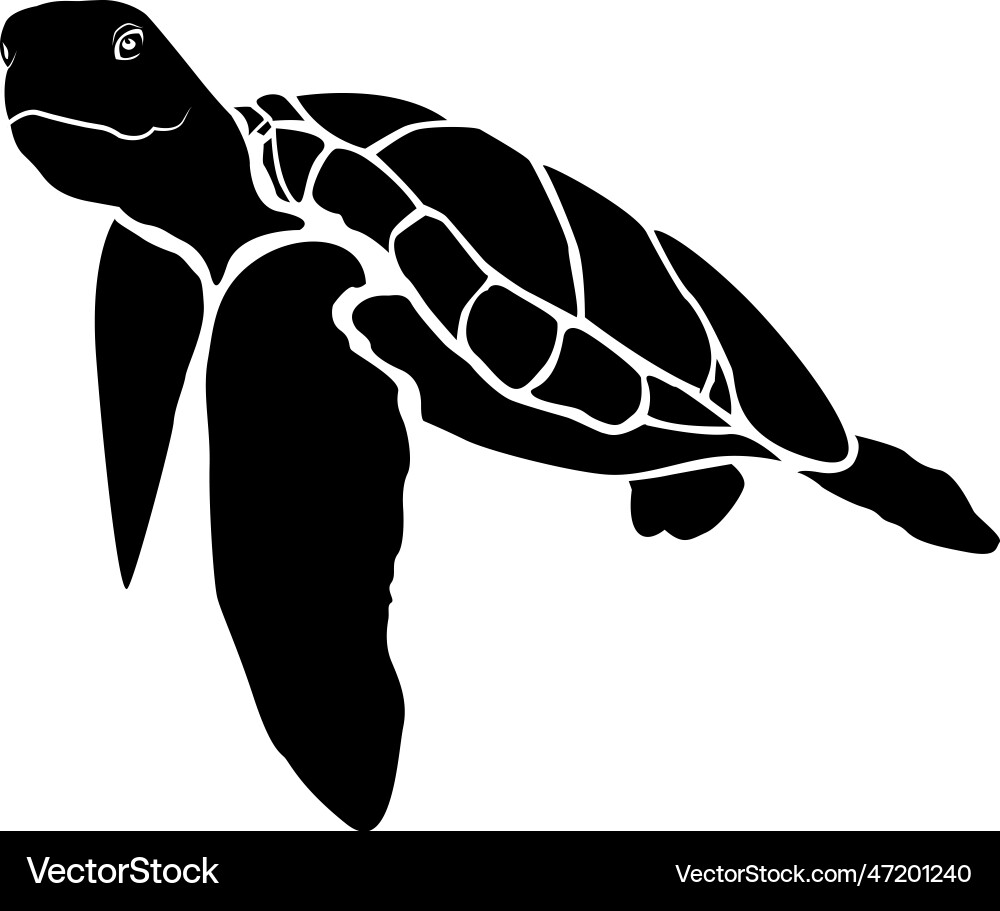 Turtle of design on a white background Royalty Free Vector