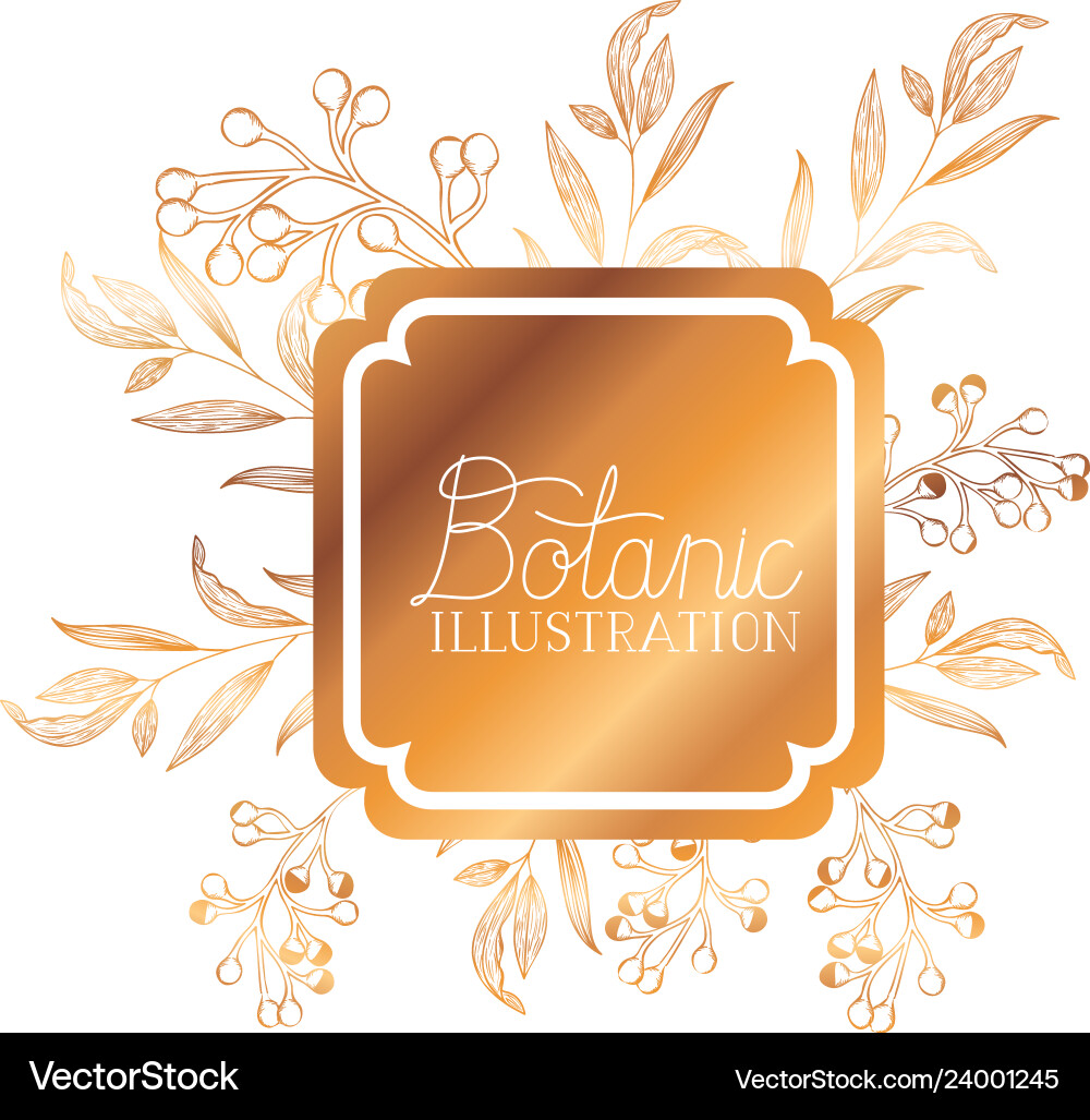 Botanic label with plants and herbs Royalty Free Vector