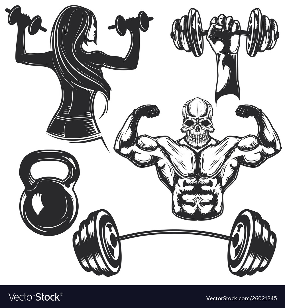 Set gym elements Royalty Free Vector Image - VectorStock