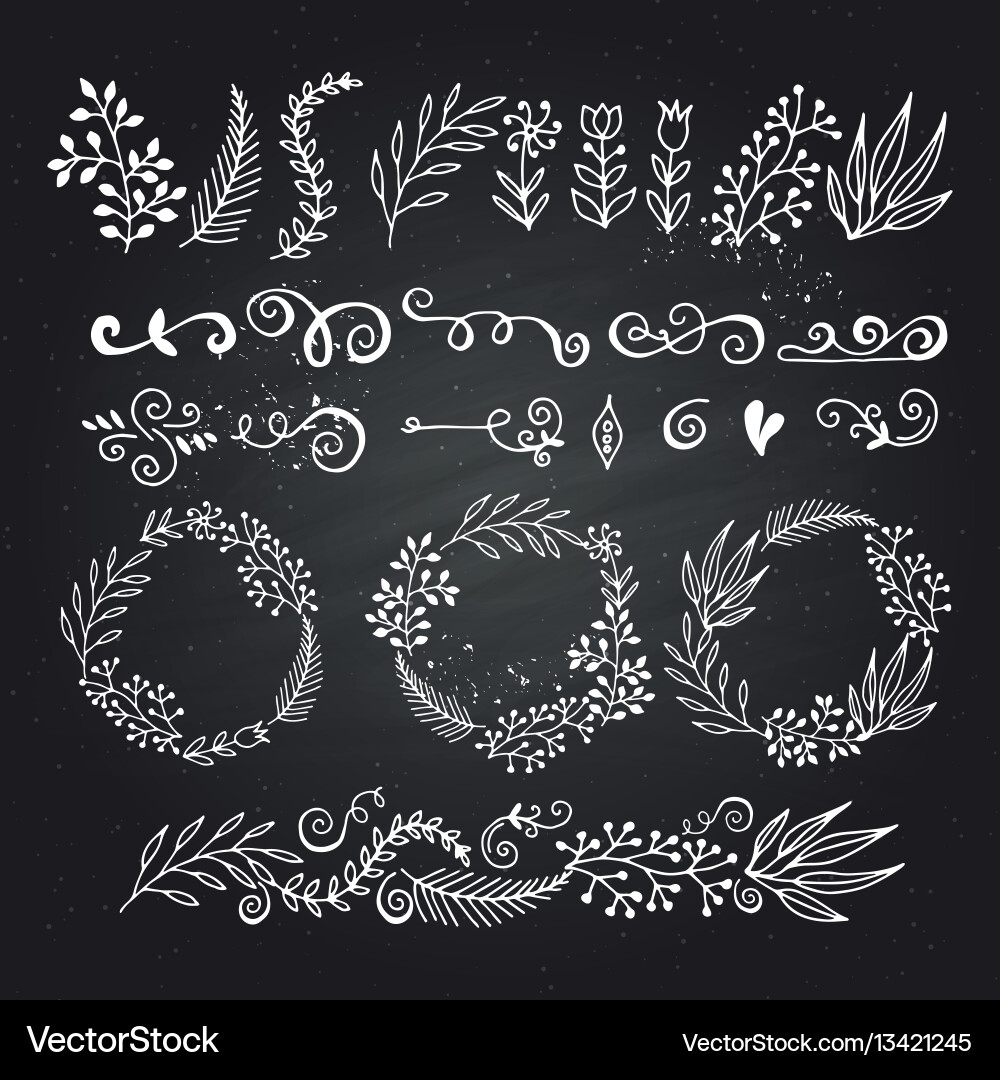 Set of design elements floral hand drawn Vector Image