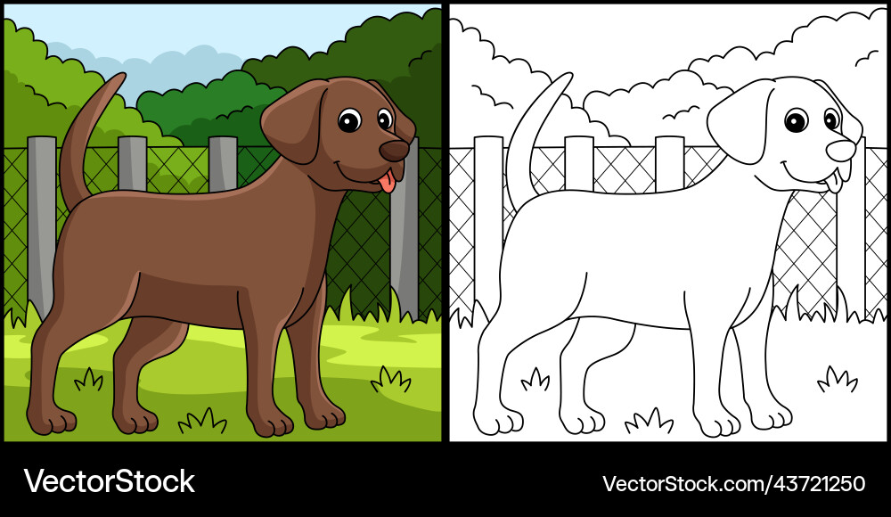Chocolate lab dog coloring page Royalty Free Vector Image