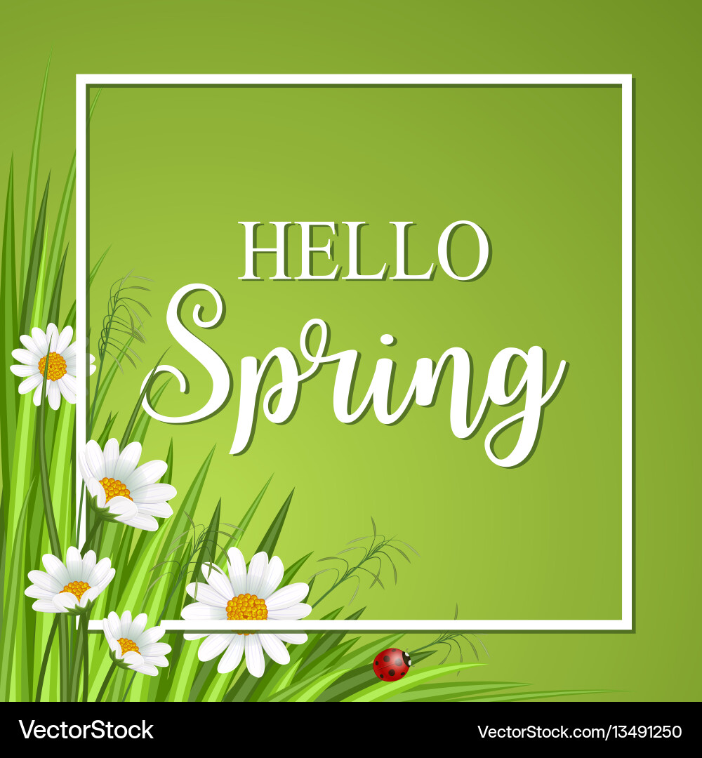 Hello spring banner with grass and flower Vector Image